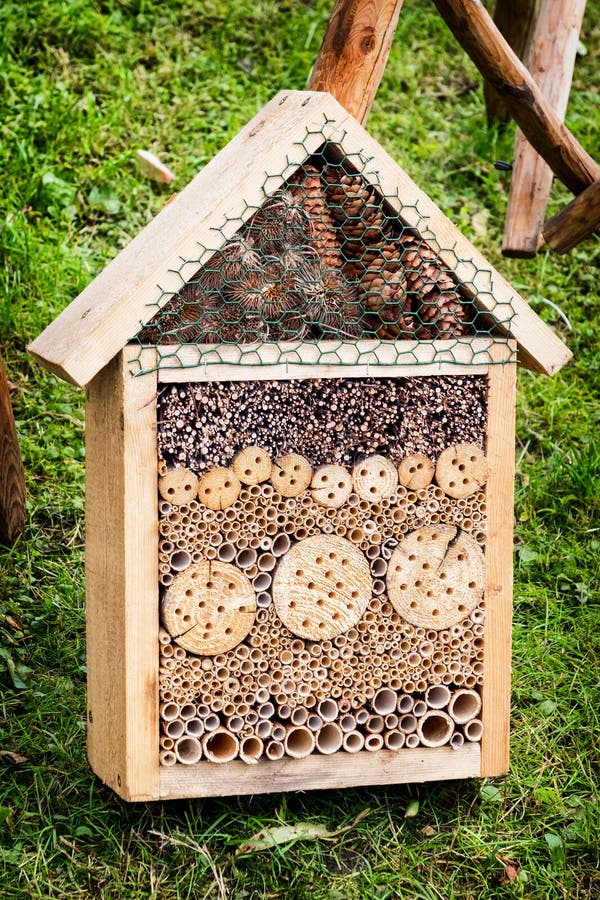 Insect house stock image. Image of ecological, nature - 65765889