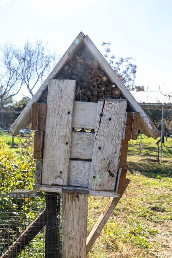 Insect House in an Organically Grown Orchard Stock Image - Image of ...
