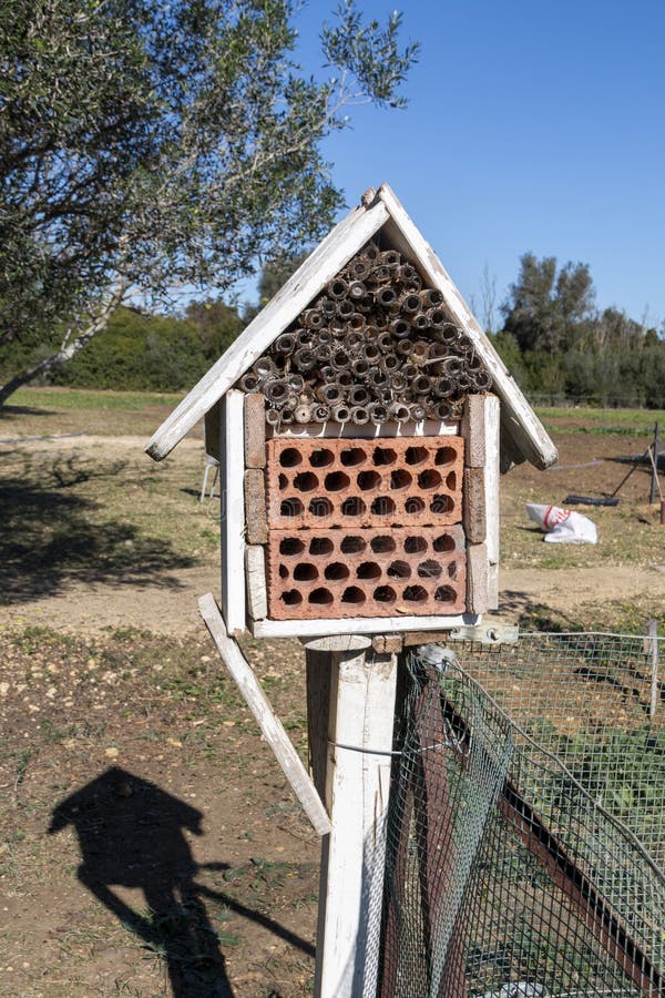 Insect House in an Organically Grown Orchard Stock Image - Image of ...