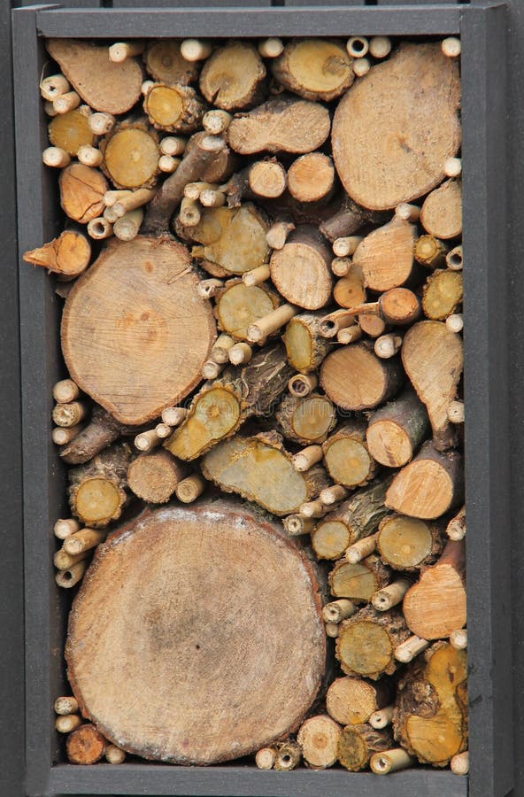 Insect House. stock image. Image of shelter, nature, rural - 80389121