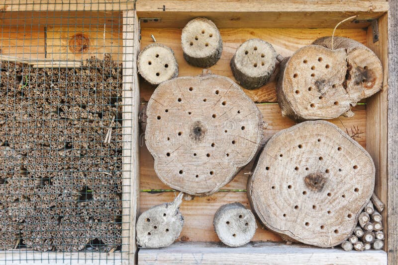 Insect House Square in the Garden Stock Image - Image of apiary ...
