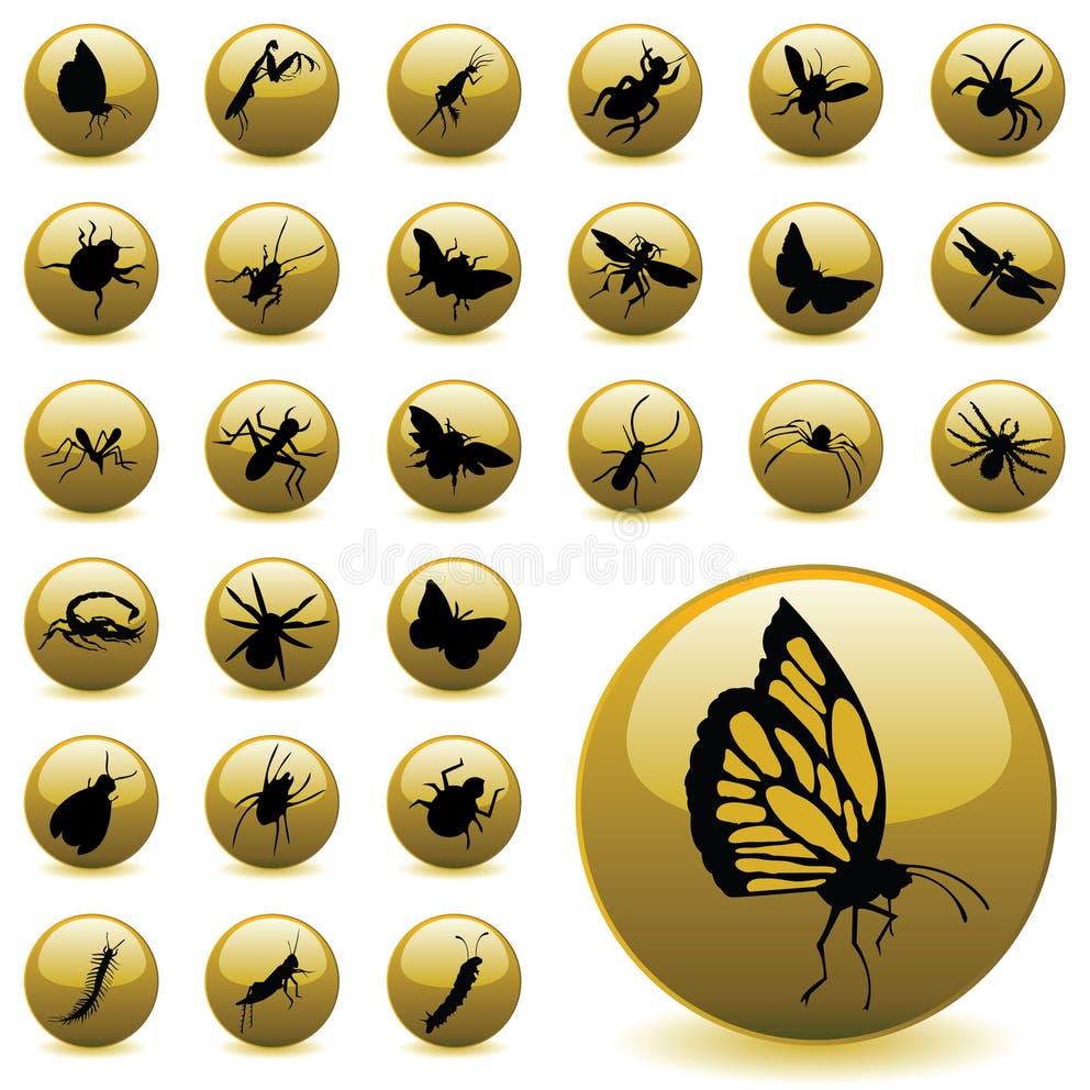 Cocoon Insect Stock Illustrations – 3,519 Cocoon Insect Stock ...