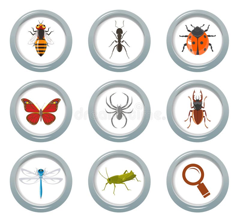 Insect icons set stock vector. Illustration of bubble - 28780273