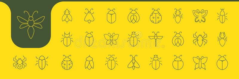 Insect Kinds Line Minimal Icon Vector Designs Stock Vector ...
