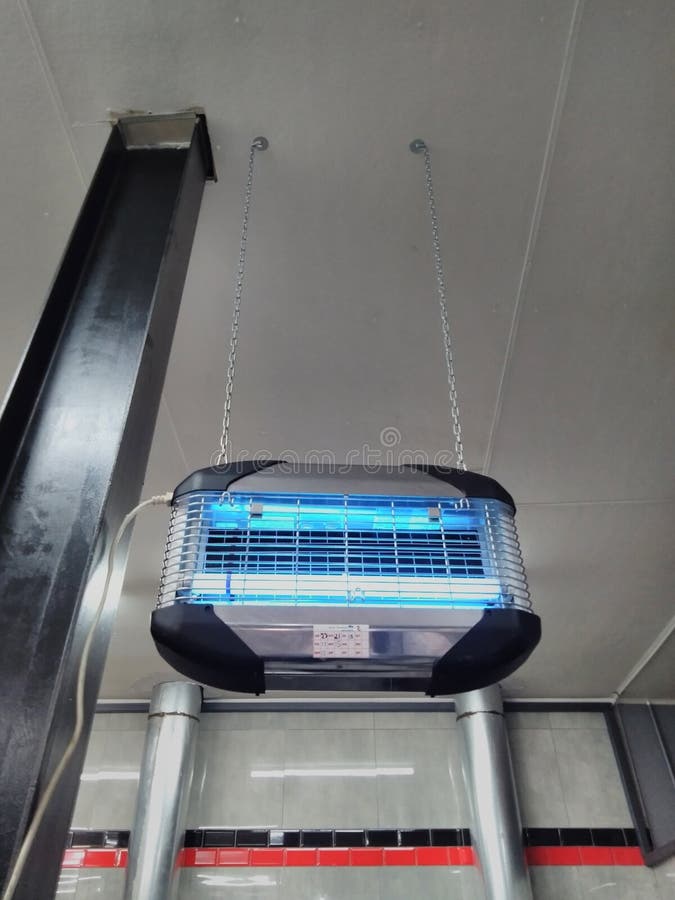 Insect Light Trap Hanging from the Ceiling Stock Image - Image of ...