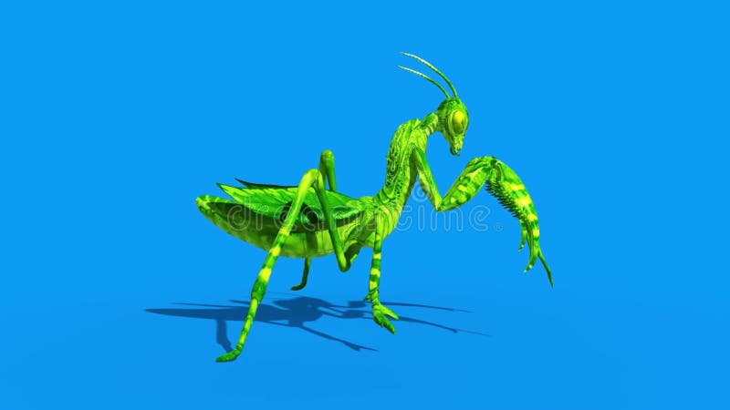 Ant Insect Walkcycle Green Screen 3D Rendering Animation Stock Footage ...