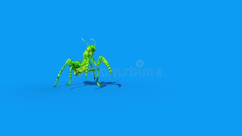 Ant Insect Walkcycle Green Screen 3D Rendering Animation Stock Footage ...