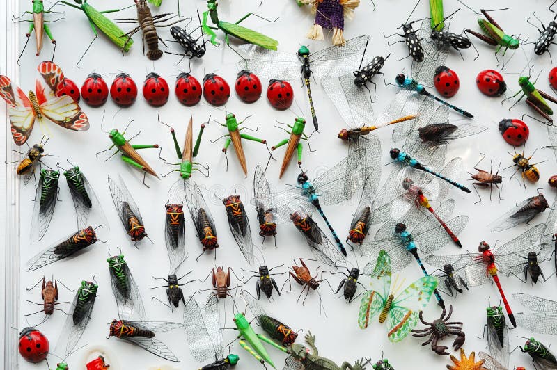 Insect model stock image. Image of colorful, small, cricket - 4371213