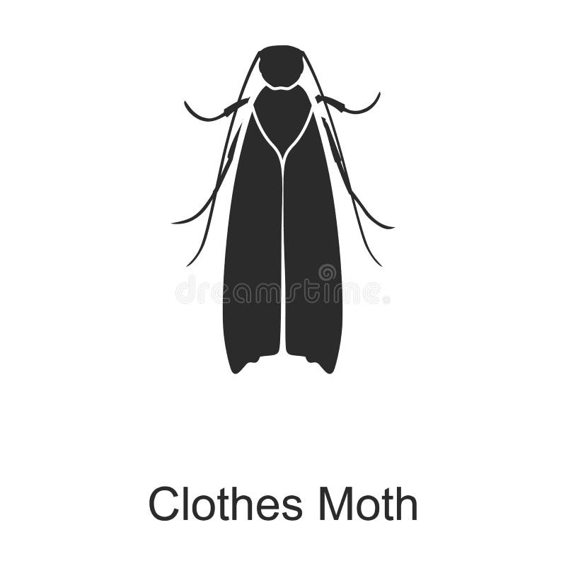 Scared Moth Insect Vector Cartoon Stock Vector - Illustration of ...