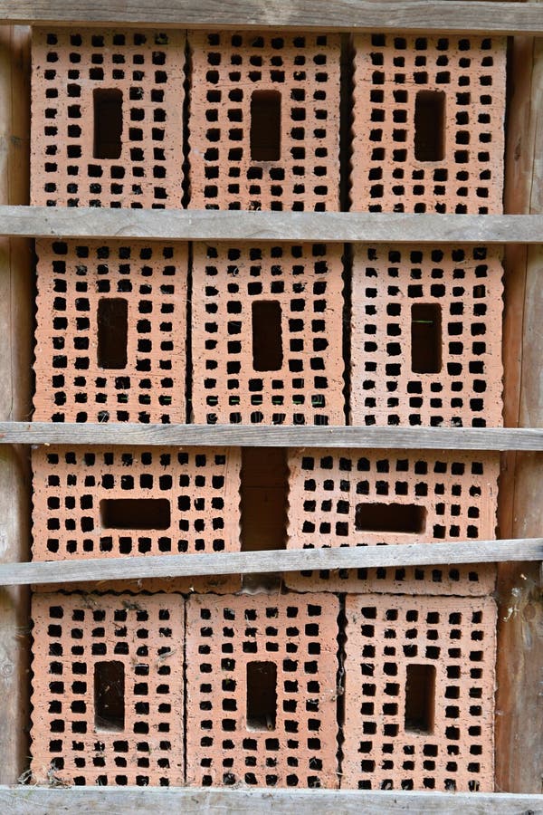 Insect nesting box stock photo. Image of brick, wild - 54864314