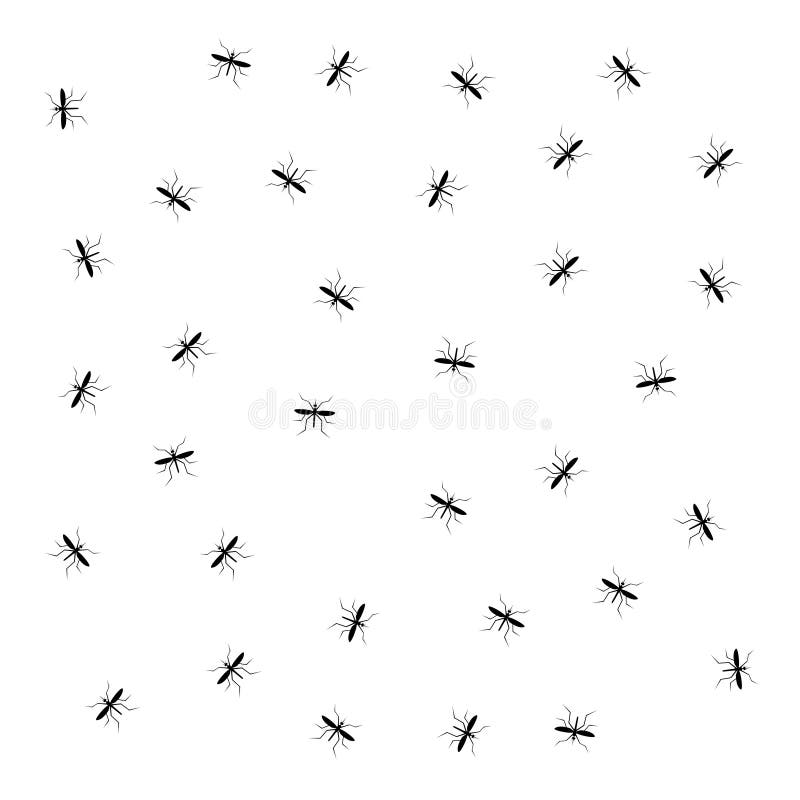Insect pattern stock vector. Illustration of elegant - 73245192