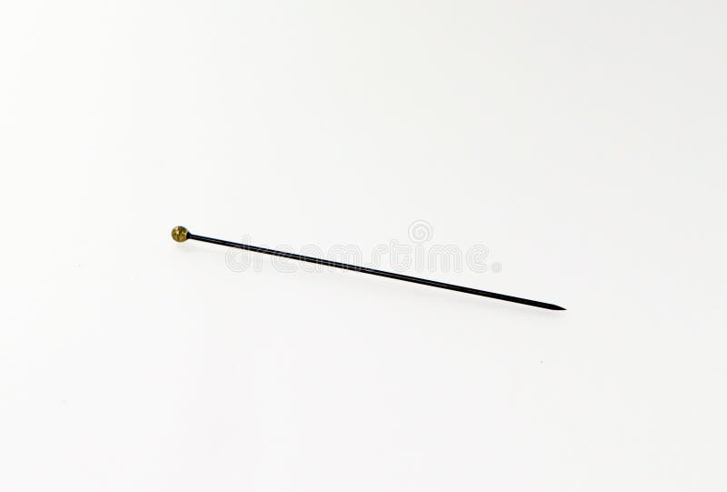Insect Pin Isolated On White Special Needle For Pricking Insects For