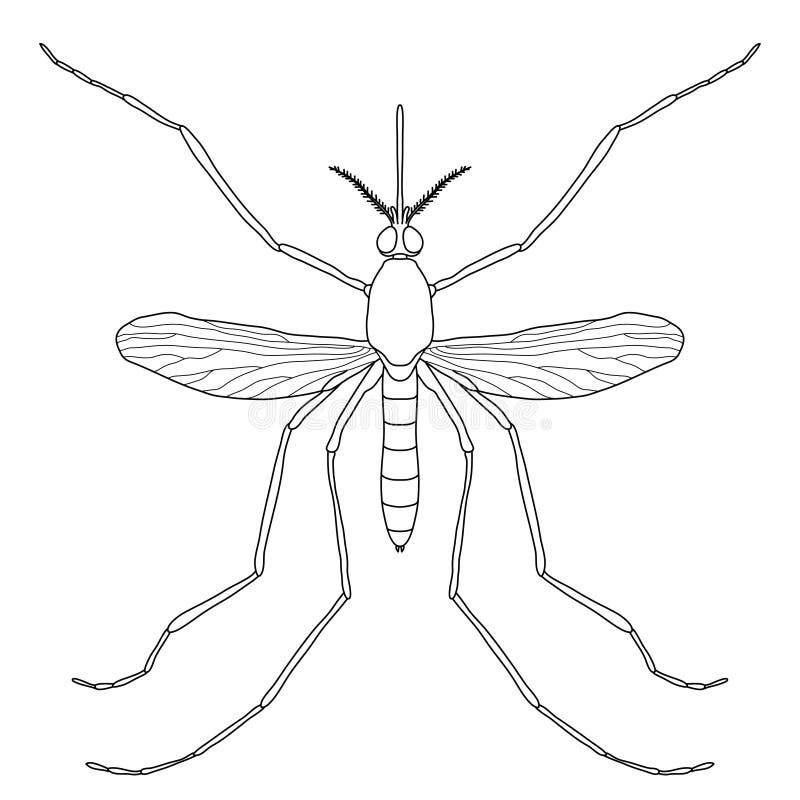 Scared Mosquito Stock Illustrations – 104 Scared Mosquito Stock ...