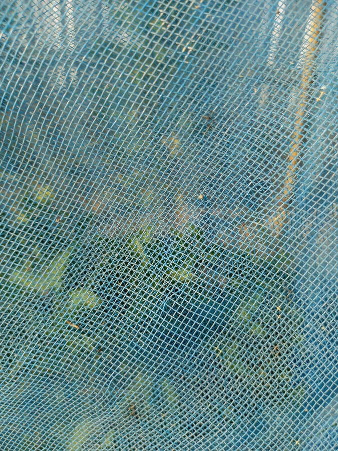 Insect Repellent Net with Attractive Texture. Stock Photo - Image of ...