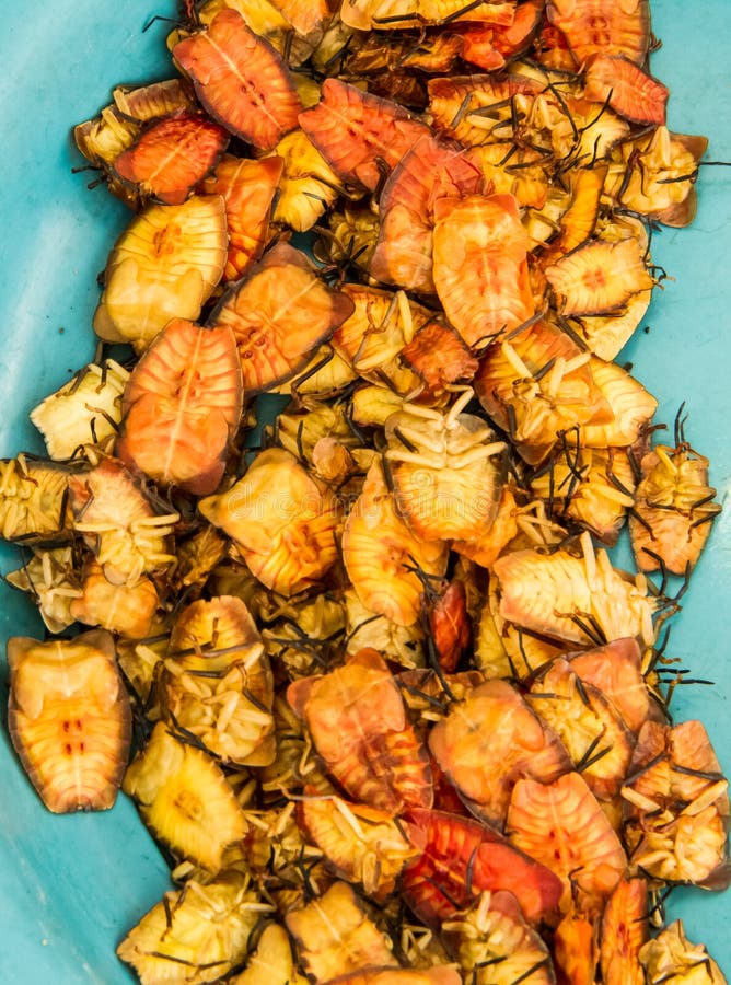 Weird Science Chet Breakfast Stock Photos - Free & Royalty-Free Stock ...