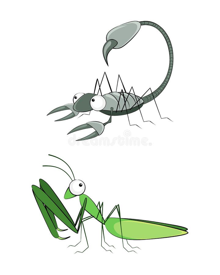 Insect scorpion and mantis stock vector. Illustration of wing - 48704359