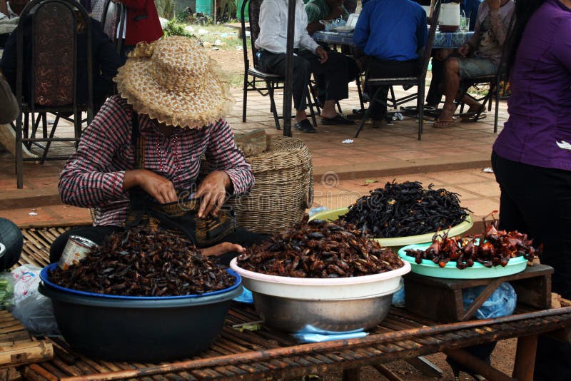 Insect seller editorial stock image. Image of seller - 56277419