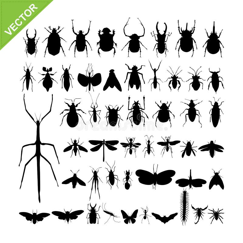 Insect silhouettes vector stock vector. Illustration of isolated - 83846952
