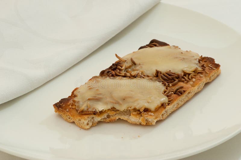 Insect Snack stock image. Image of insect, asian, alphitobius - 46594555