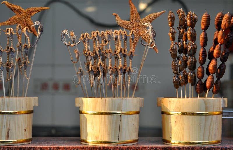 Insect Snacks stock image. Image of scorpions, china - 30505755