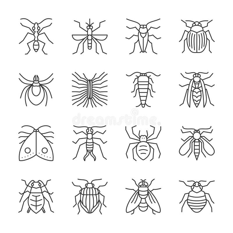 Tick Insect Line Stock Illustrations – 1,175 Tick Insect Line Stock ...
