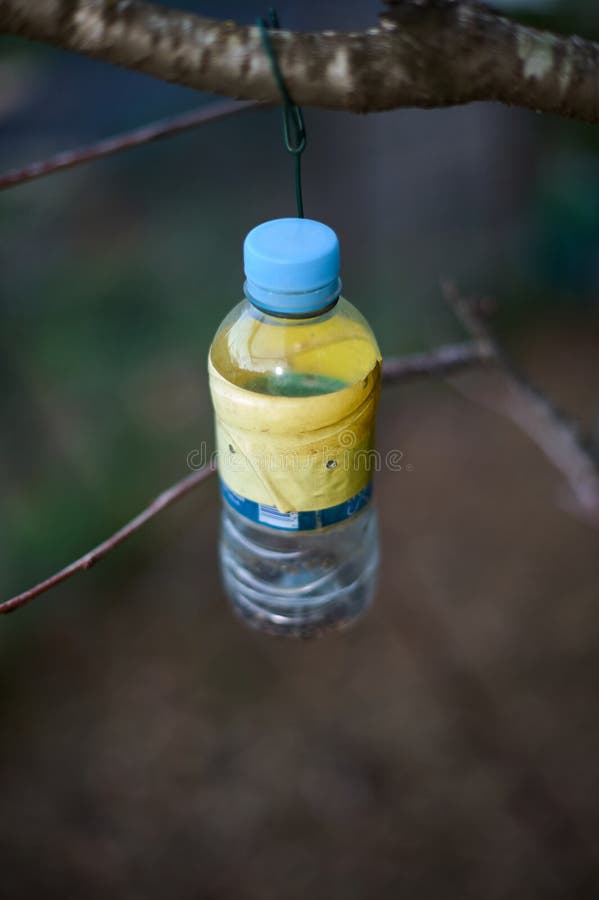 Insecticide Container Suspended in a Tree Stock Image - Image of ...