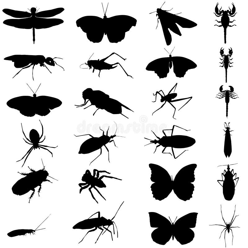 Insect vector stock vector. Illustration of silhouette - 4234963
