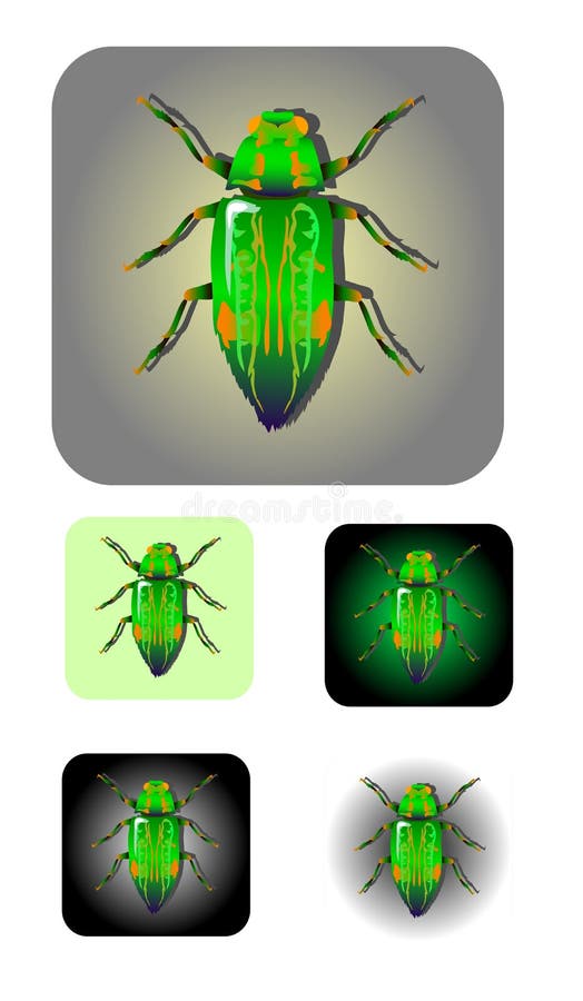 Insect vector icon stock vector. Illustration of drawing - 11077289