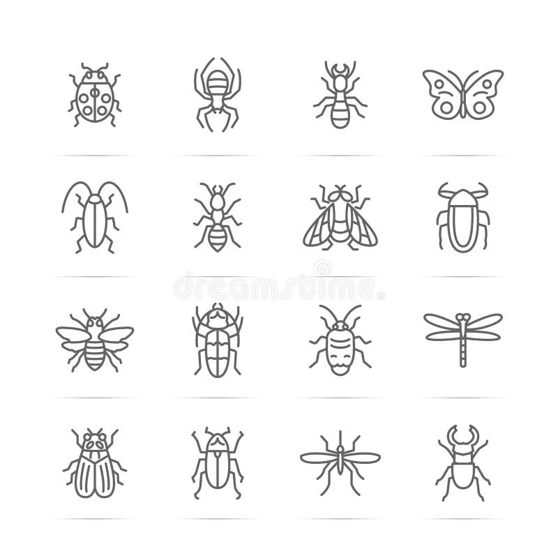 Insect vector line icons stock vector. Illustration of creature - 92384305