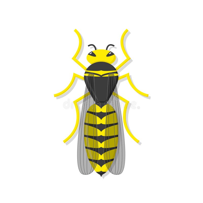 Cartoon-style wasp stock vector. Illustration of design - 2594124