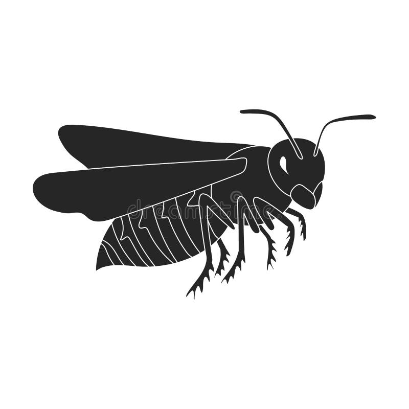 Insect Wasp Vector Icon.Black Vector Icon Isolated on White Background ...