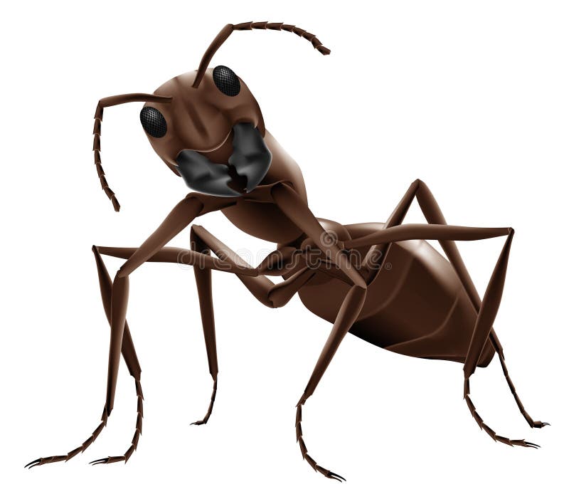 Insecte D'isolement Par Illustration De Fourmi Illustration Stock ...