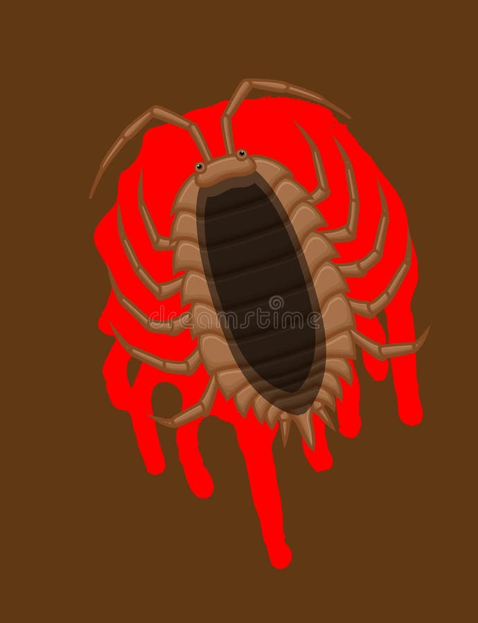 Insecte sauvage de pou illustration de vecteur. Illustration du piqûre ...