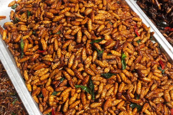 Insecten om te eten. stock afbeelding. Image of partij - 39744263