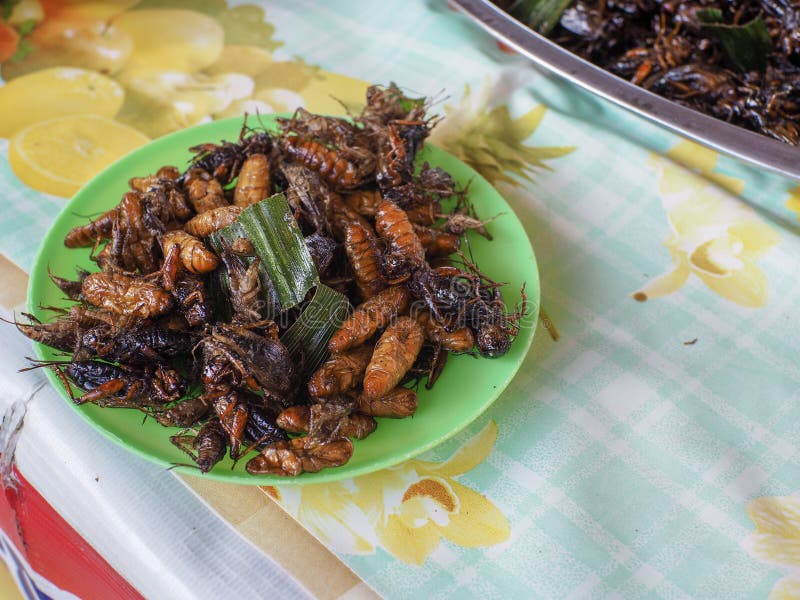 Insectes frits photo stock. Image du bangkok, frit, asie - 132509914