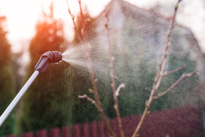Insecticide stock photo. Image of pesticide, farmer, danger - 90405668