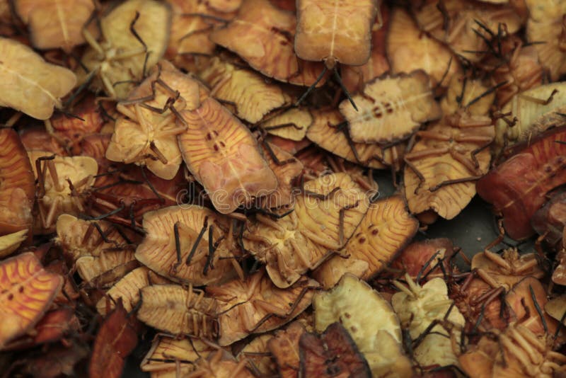 Hedor fuera de este mundo foto de archivo. Imagen de desodorisante ...