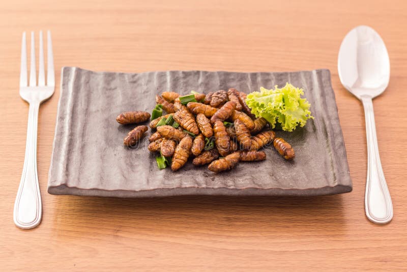 Insectos fritos imagen de archivo. Imagen de almuerzo - 80173549