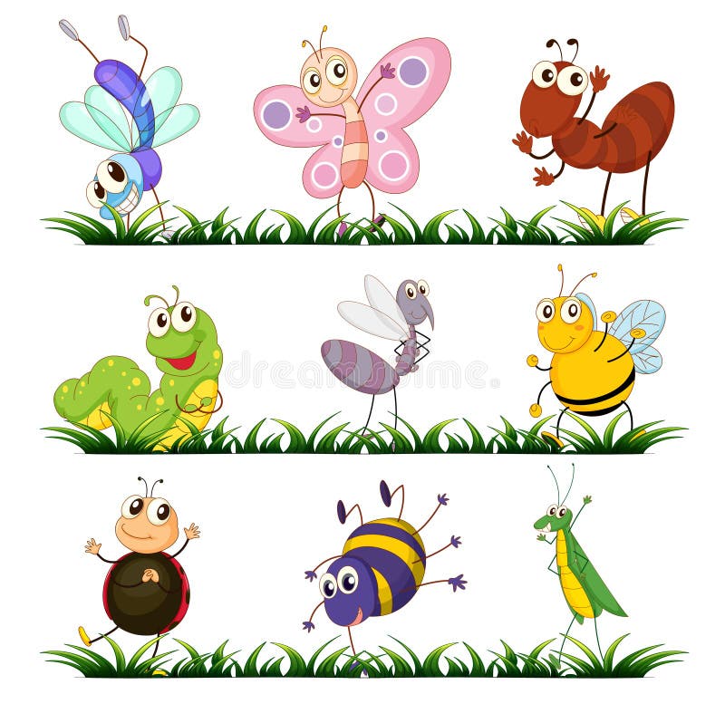Group of insects stock vector. Illustration of expression - 14404743