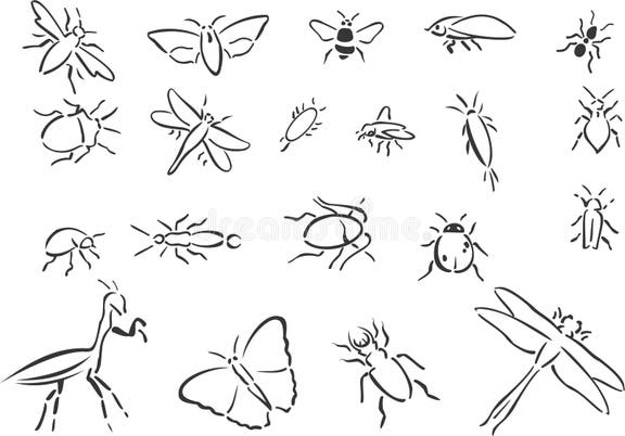 Misc Insects Stock Illustrations – 2 Misc Insects Stock Illustrations ...