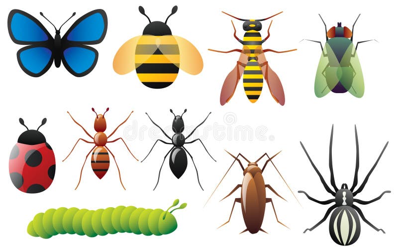 4,400+ Insects Free Stock Photos - StockFreeImages