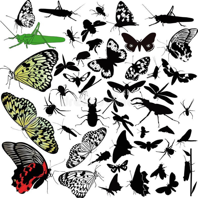 Common Insects Stock Illustrations – 1,477 Common Insects Stock ...