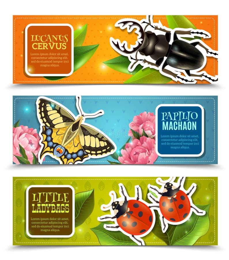 Insects Banners Set stock vector. Illustration of spots - 249424759