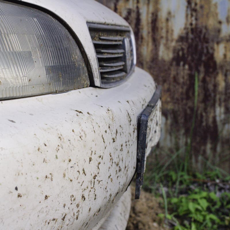 Smashed Car Bug Stock Photos - Free & Royalty-Free Stock Photos from ...