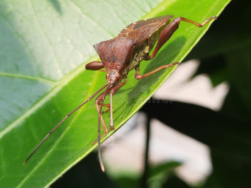 Smelling liquid stock image. Image of portrait, holds - 35686775