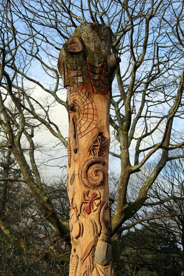 Insects Carved into a Tree Trunk Stock Photo - Image of wales, tree ...