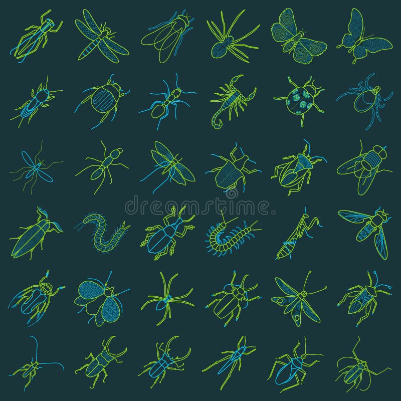Insect Outline Vector, Icon. Coloring Page for Kids. Exotic Bug ...