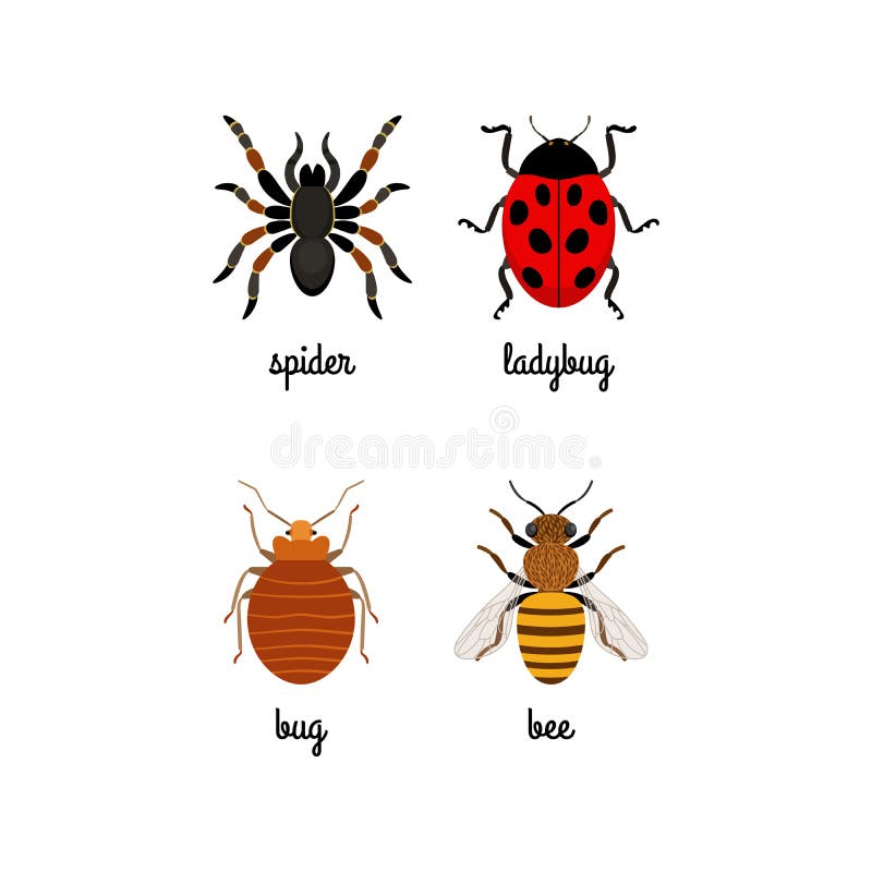 Insects Colorful Flat Icons Set Stock Vector - Illustration of flat ...
