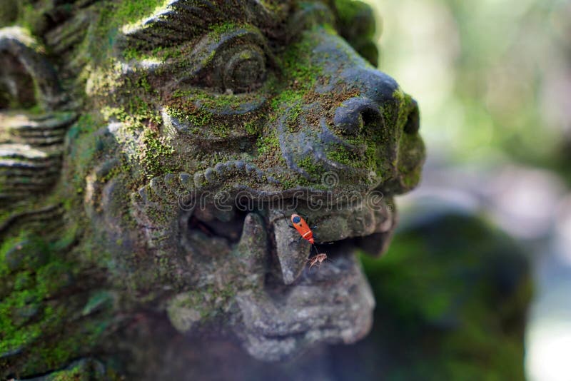 Insects Crawl on a Stone Statue of a Lion Overgrown with Moss Stock ...