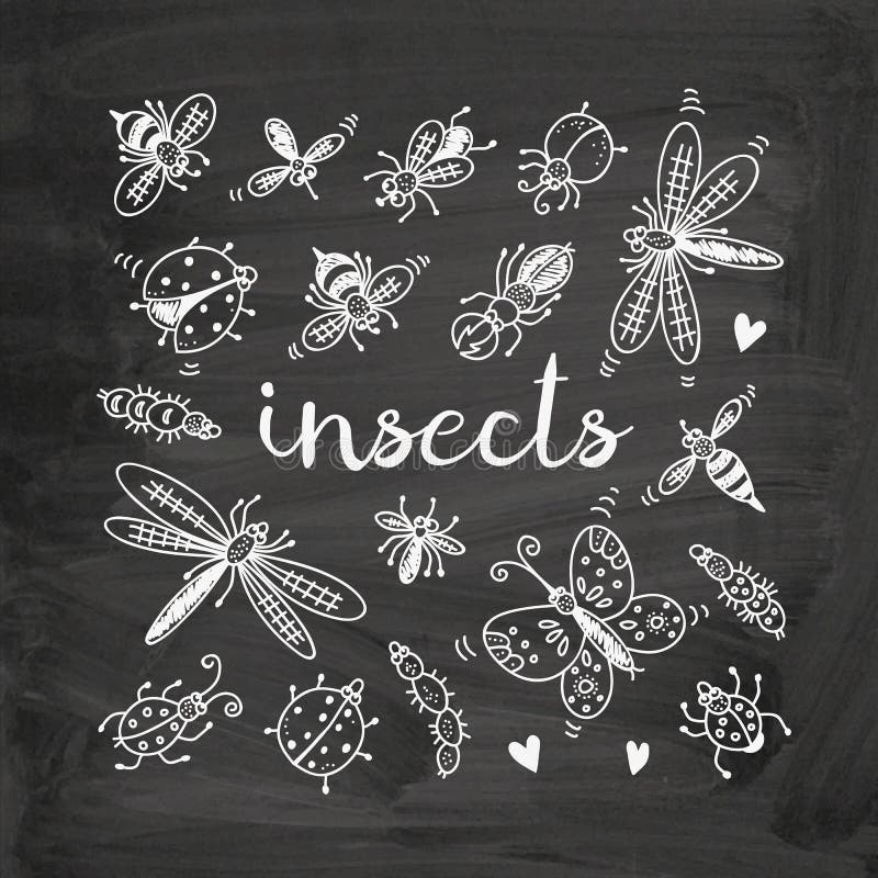 Insects doodle set stock vector. Illustration of nature - 139743257